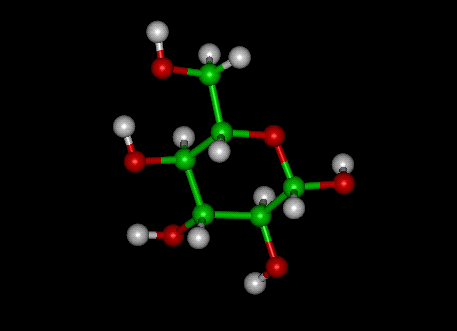 Biomolecules – For Teachers